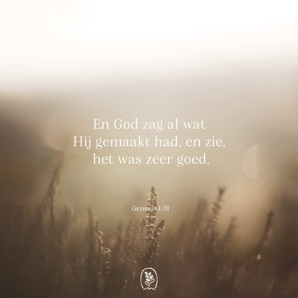 Genesis 1:31 - Bijbelteksten - DagelijkseBroodkruimels
