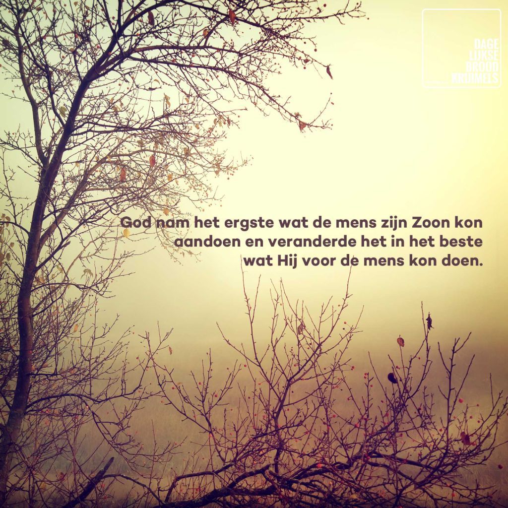 De Transformatie - Quotes - DagelijkseBroodkruimels