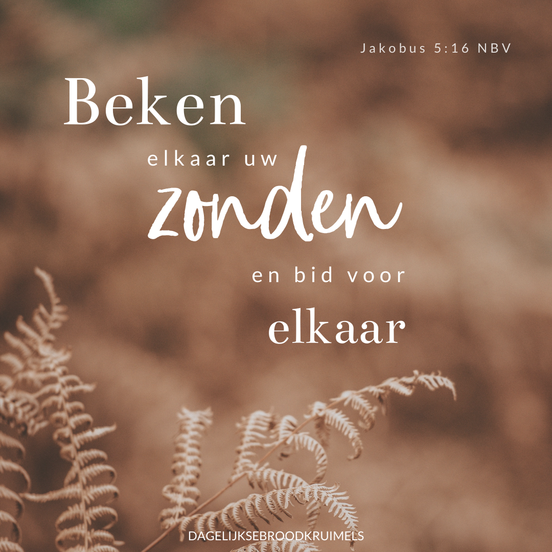 Jakobus 5:16 - Bijbelteksten - DagelijkseBroodkruimels