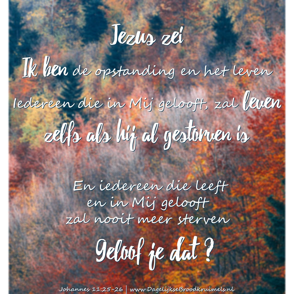 Johannes 11:25 - Bijbelteksten - DagelijkseBroodkruimels