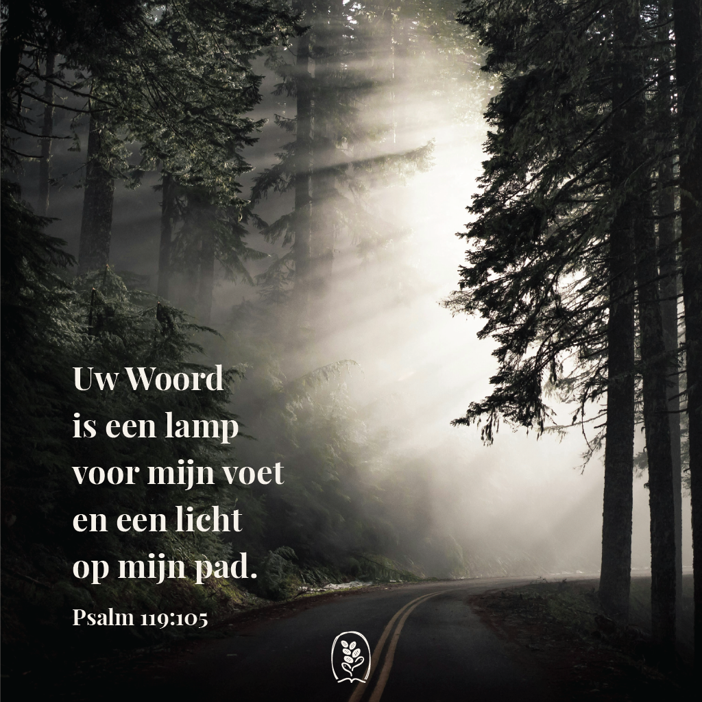 Psalm 119:105 - Bijbelteksten - DagelijkseBroodkruimels