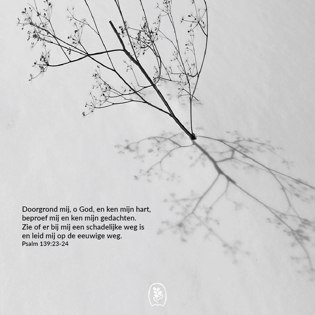 Psalm 139:23, Psalm 139:24 - Bijbelteksten - DagelijkseBroodkruimels