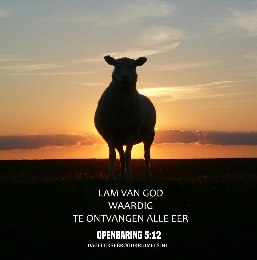 Openbaring 5:12 - Bijbelteksten - DagelijkseBroodkruimels