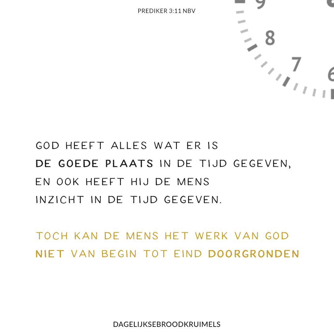 Prediker 3 - Herziene Statenvertaling - DagelijkseBroodkruimels