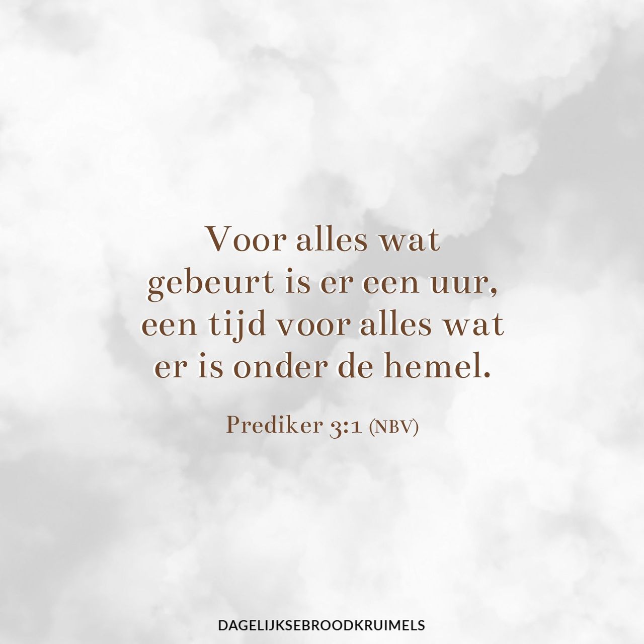 Prediker 3 - Herziene Statenvertaling - DagelijkseBroodkruimels
