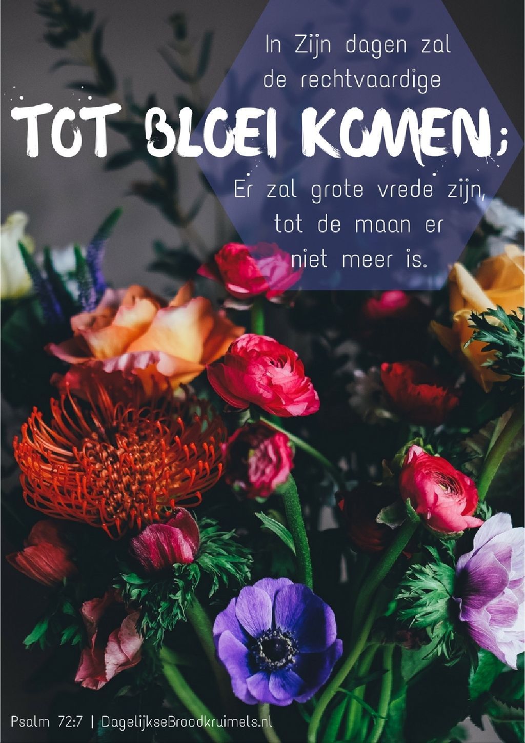Psalm 72:7 - Bijbelteksten - DagelijkseBroodkruimels