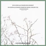 Prediker 3 - Herziene Statenvertaling - DagelijkseBroodkruimels