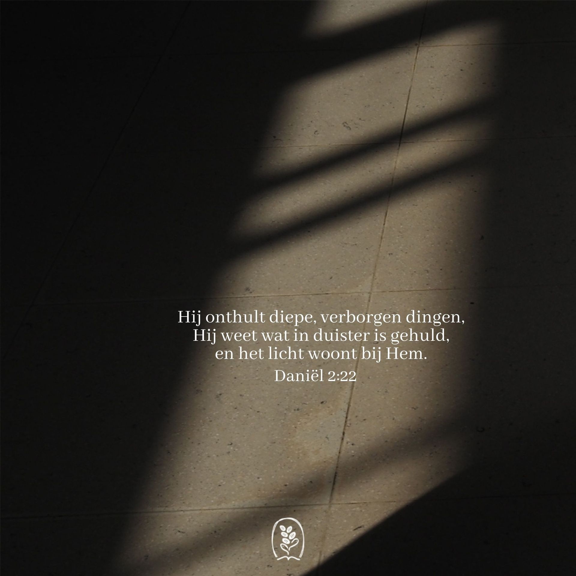 Daniël 2:22 - Bijbelteksten - DagelijkseBroodkruimels