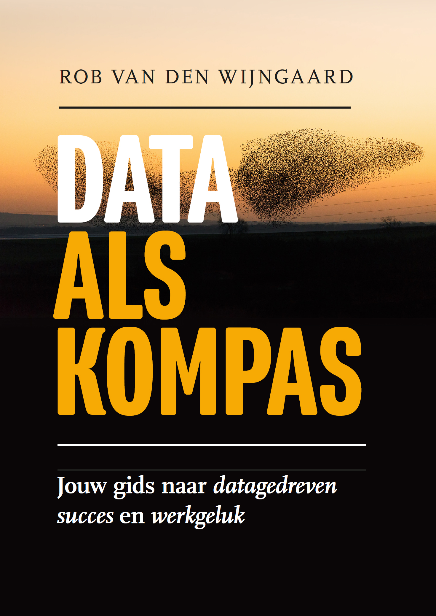 Data als Kompas - Rob van den Wijngaard - Boeken - DagelijkseBroodkruimels