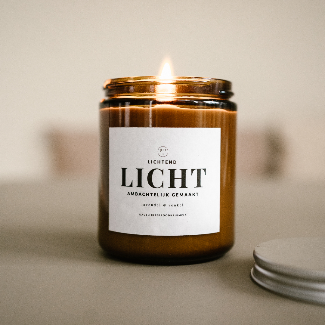 Zakwoordenboek Theologische Begrippen - Cherith Fee Nordling, David ...