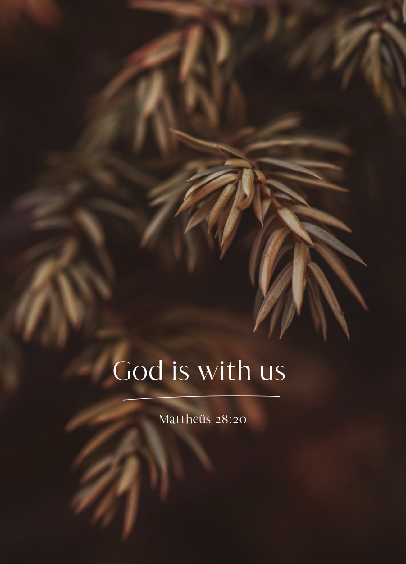 Kaart - Matthëus 28:20 - God is With Us - Kaarten - DagelijkseBroodkruimels