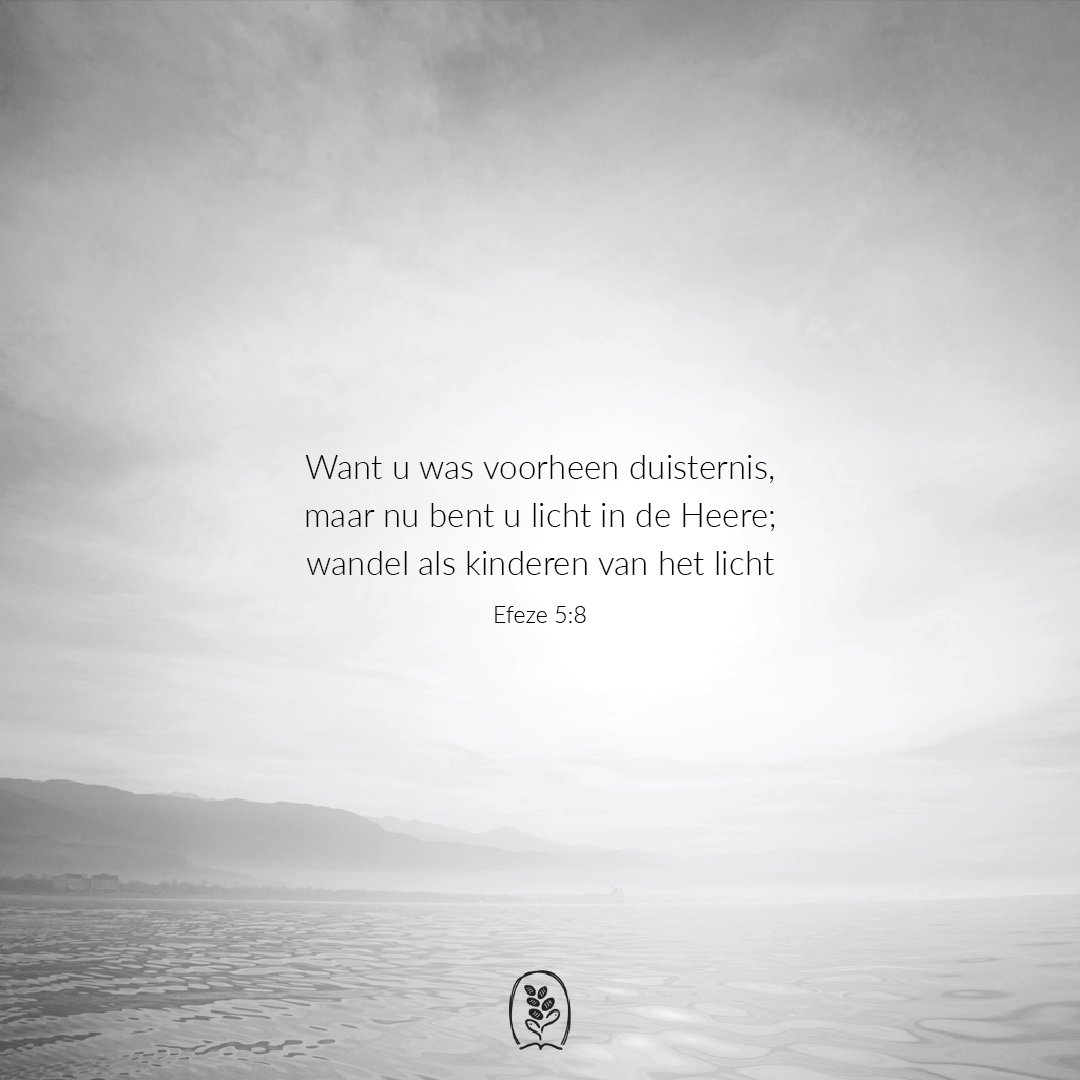 Efeze 5:8 - Bijbelteksten - DagelijkseBroodkruimels