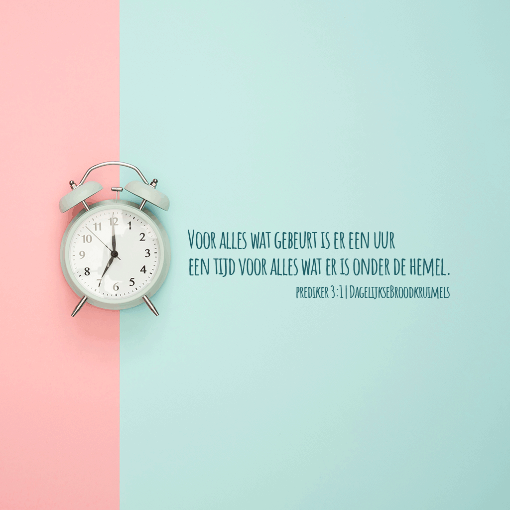 Prediker 3 - Herziene Statenvertaling - DagelijkseBroodkruimels