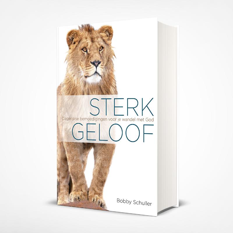 Sterk Geloof - Bobby Schuller - Boeken - DagelijkseBroodkruimels