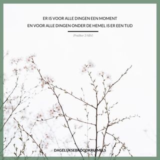 Prediker 3 - Herziene Statenvertaling - DagelijkseBroodkruimels