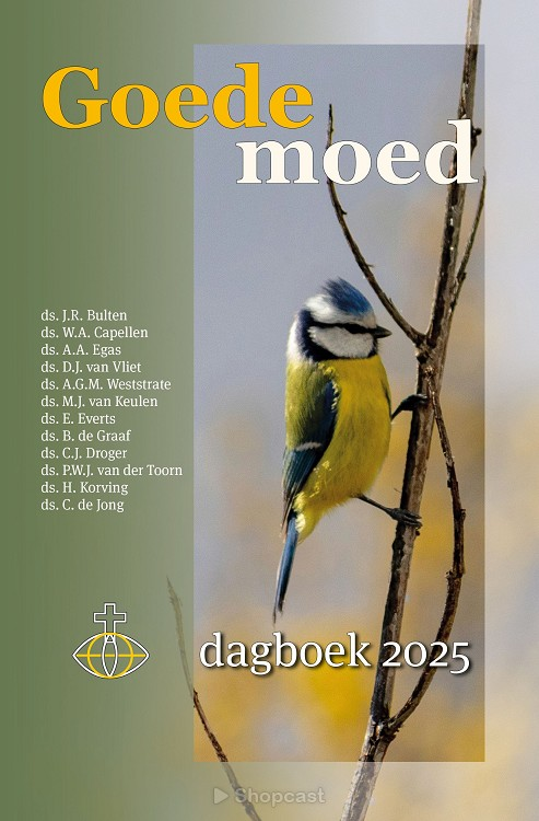 Goede Moed 2025 Grote Letter - Boeken - DagelijkseBroodkruimels