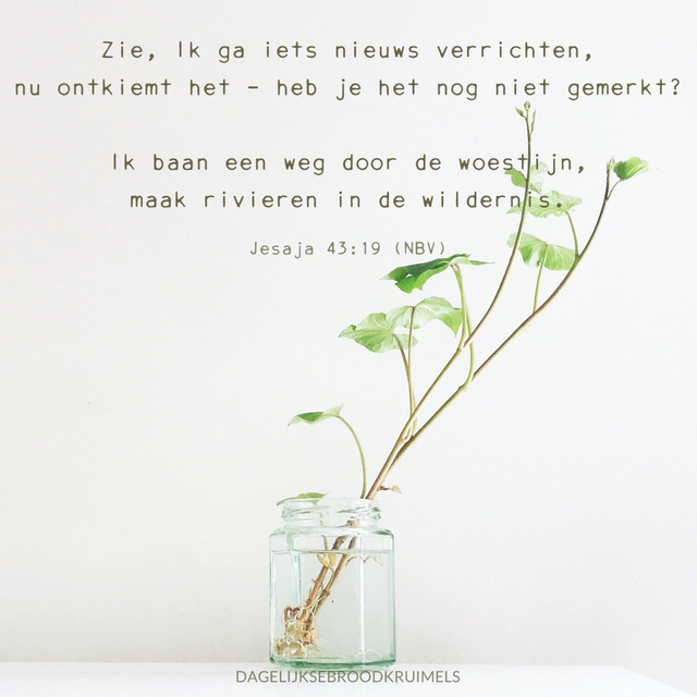 Jesaja 43:19 - Bijbelteksten - DagelijkseBroodkruimels