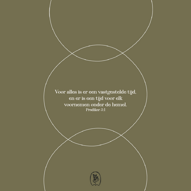Prediker 3 - Herziene Statenvertaling - DagelijkseBroodkruimels