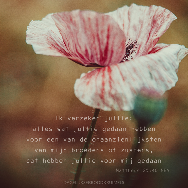 Mattheüs 25:40 - Bijbelteksten - DagelijkseBroodkruimels