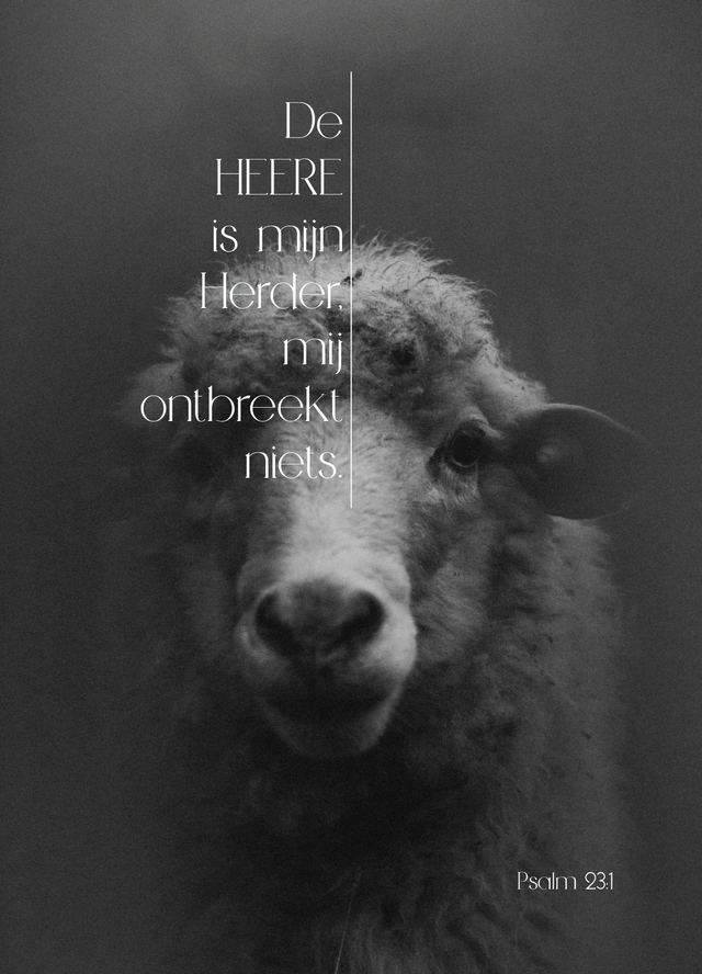 Poster - Psalm 23:1 - De Heer is Mijn Herder - Schaap - Posters ...