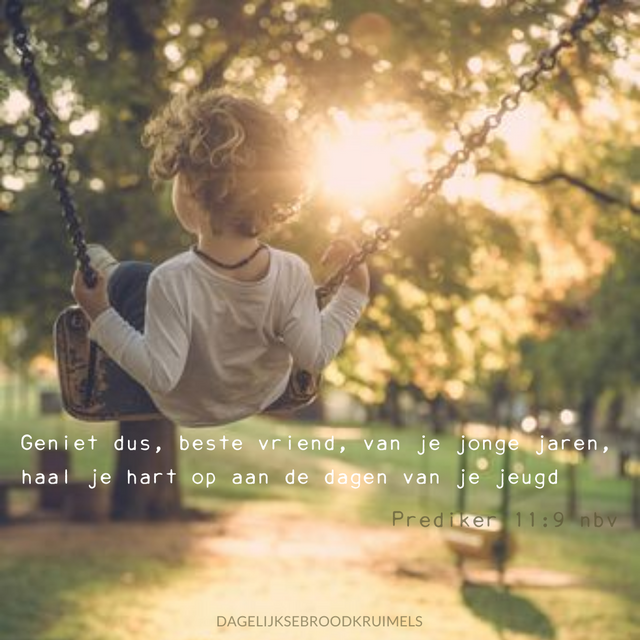 Prediker 11:9 - Bijbelteksten - DagelijkseBroodkruimels