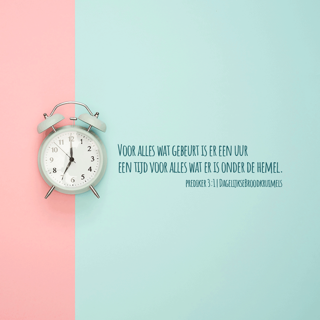 Prediker 3 - Herziene Statenvertaling - DagelijkseBroodkruimels