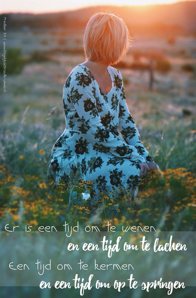 Prediker 3 - Herziene Statenvertaling - DagelijkseBroodkruimels