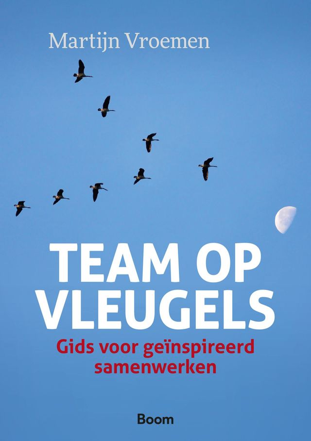 Team op Vleugels - Boeken - DagelijkseBroodkruimels
