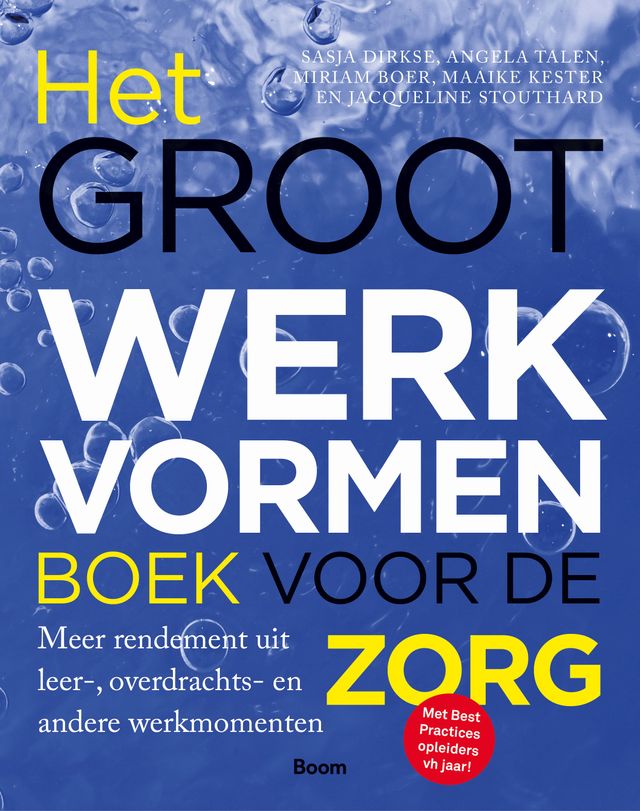 Het Groot Werkvormenboek voor de Zorg - Sasja Dirkse-Hulscher, Maaike ...