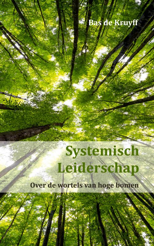 Systemisch Leiderschap - Bas de Kruyff - Boeken - DagelijkseBroodkruimels